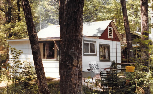 The Shack: Time on the Pine | True Stories Well Told